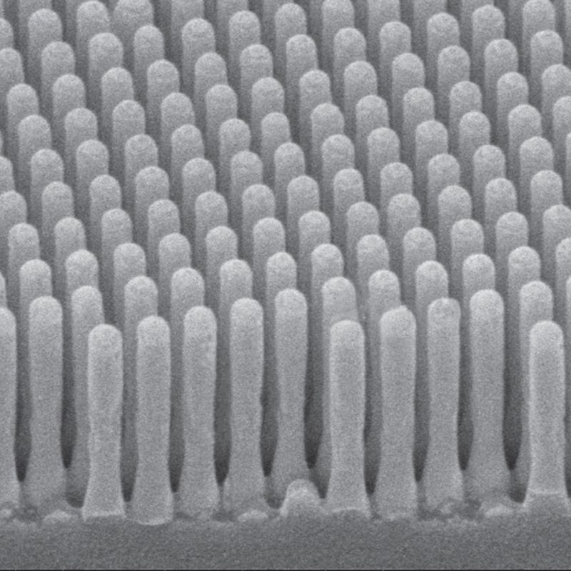 Quantum Design Germany