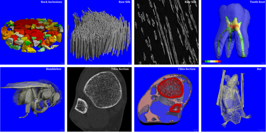 High resolution micro-CT scanners Scanco Medical | Quantum Design