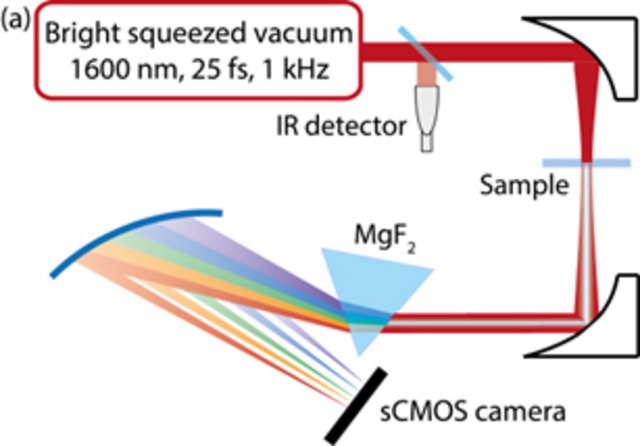 Sensitive Detection of Higher Harmonics Using Quantum Light – Single ...