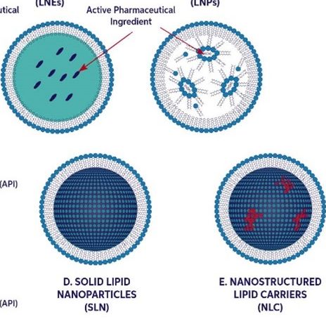 NanoParticelle lipidiche: produzione, utilizzo e caratterizzazione ...